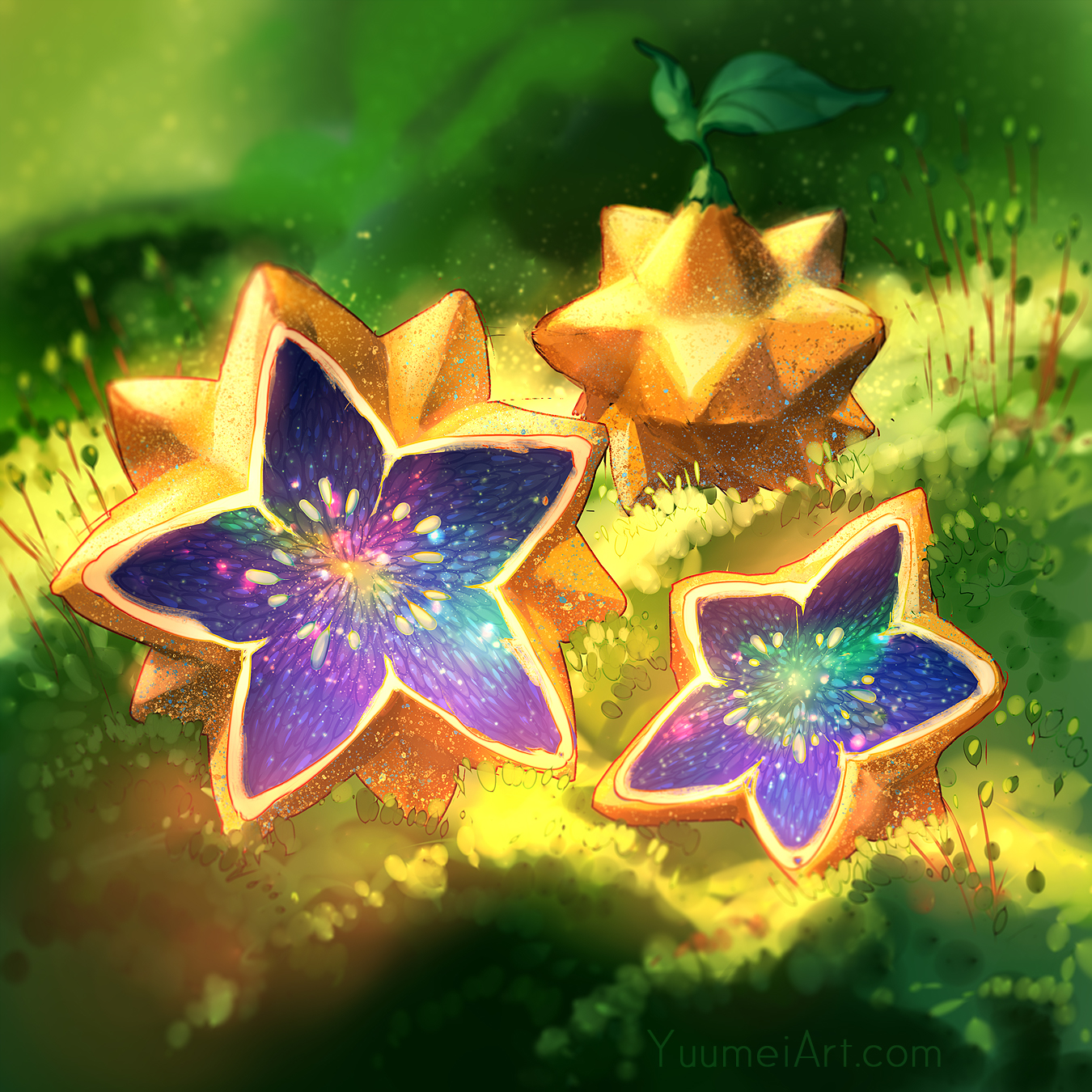 Star Fruit-原创星-触站