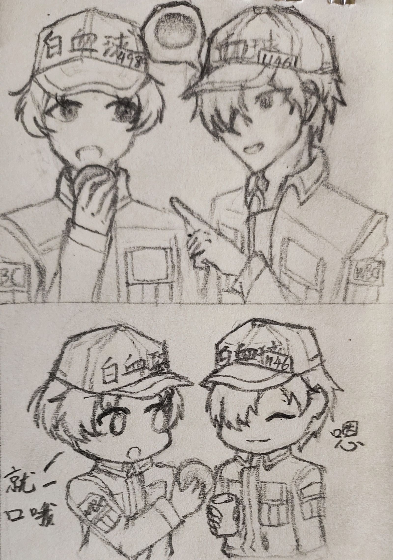 #工作细胞 1146×4989-触站