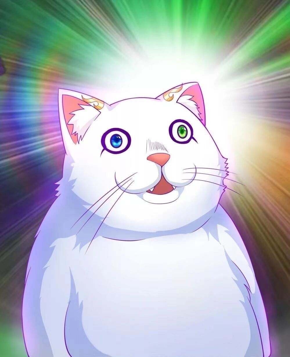 奇怪的知识又增加了-触站